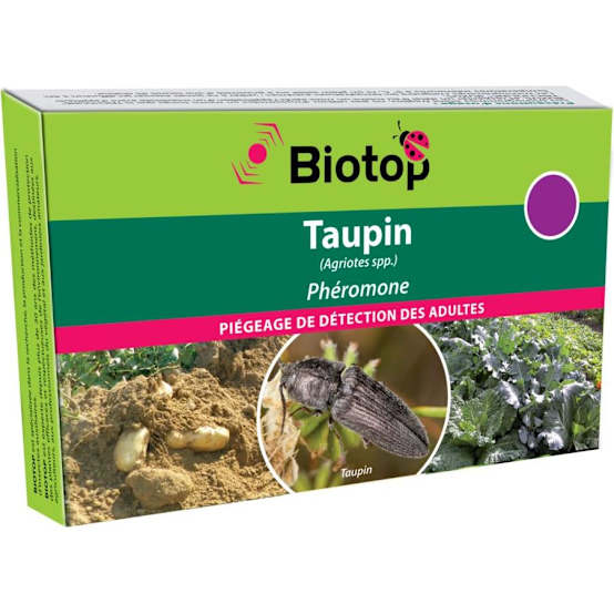 Phéromone Taupins Agriotes spp. (taupin) boîte d'1 capsule - BIOTOP ...