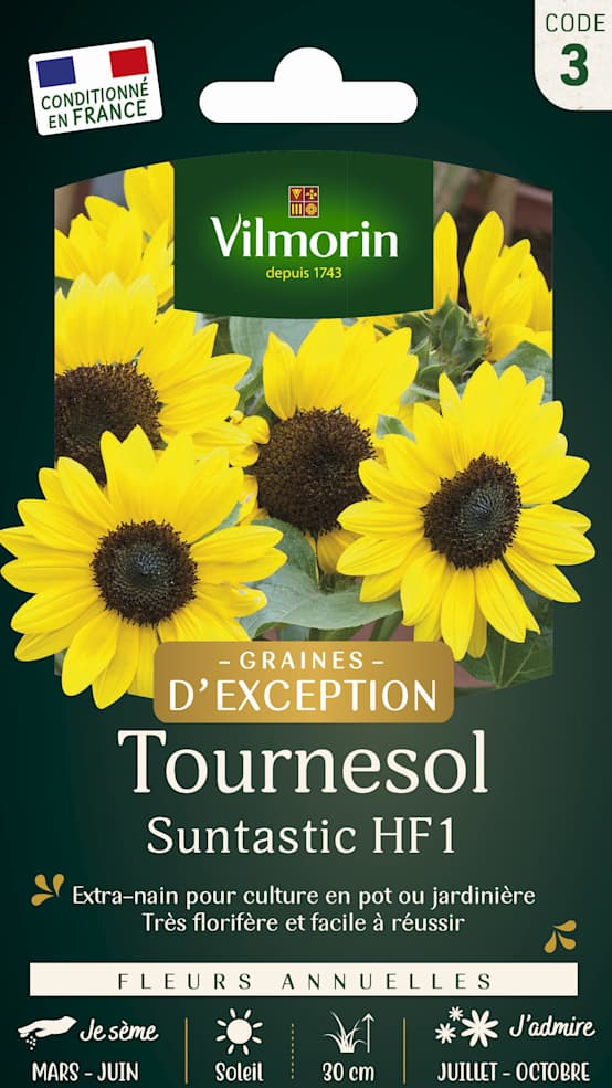 Tournesol Suntastic HF1 serie 3 sachet graines 1 g - Vilmorin - Jardiland