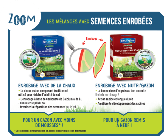 Semence gazon super regarnissage - FERTILIGÈNE - Jardiland