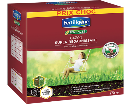 Semence gazon super regarnissage - FERTILIGÈNE - Jardiland