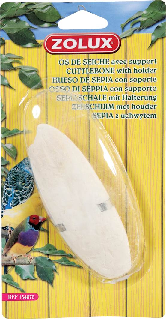 Os De Seiche - ZOLUX - Jardiland