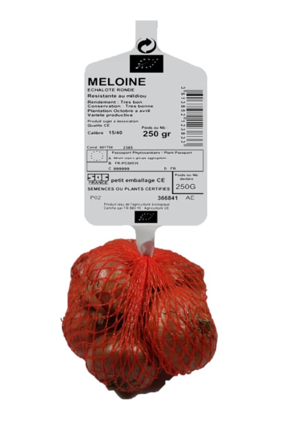 Bulbes Echalote ronde Bio Méloine 15/40 filet 250 g - Jardiland