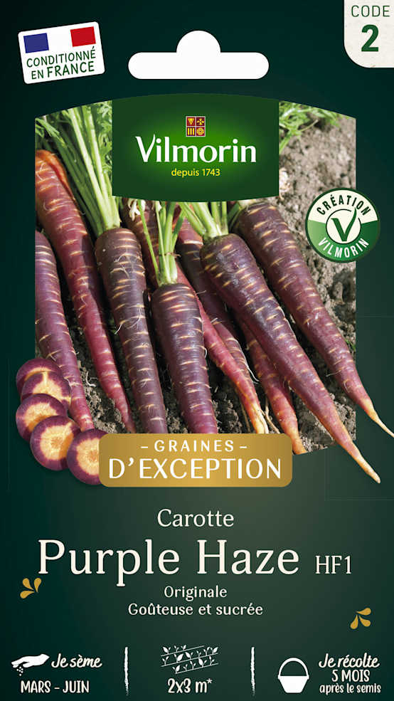 Carotte Violette Purple Haze HF1 serie 2 sachet graines 1 g - Vilmorin ...