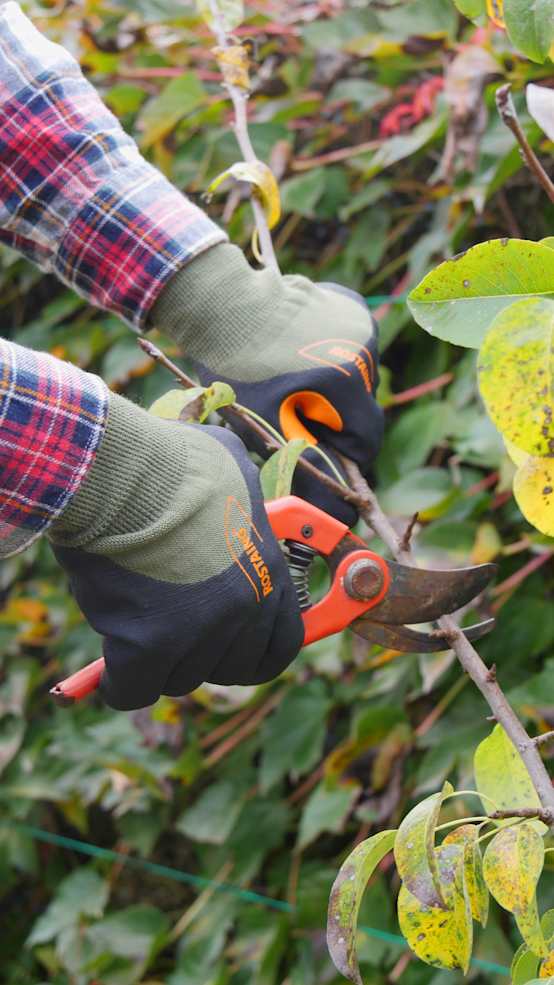 Guantes de protección - ROSTAING - Jardiland