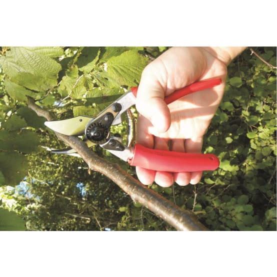 Sécateur Felco 12 aluminium forgé lames acier trempé pour droitiers ...