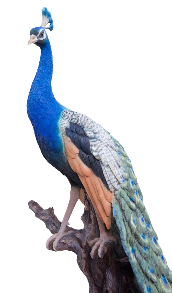 Sculpture paon L.85 x l.54 x H.134 cm - Garden Id - Jardiland