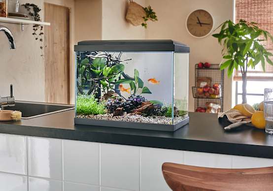 Aquarium pour poisson Fresh 40 Led gris 20 L - Pure Family - Jardiland