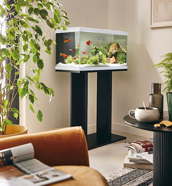 Aquarium pour poisson Tropical Pur 60 blanc 48 L - Pure Family - Jardiland