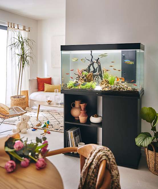 Aquarium pour poisson Tropical 102 XL noir 201 L - Pure Family - Jardiland