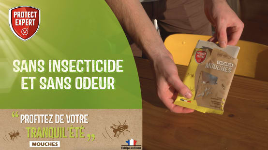 Sticker Mouches - PROTECT EXPERT - Jardiland