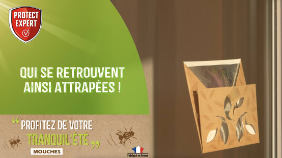 Sticker Mouches - PROTECT EXPERT - Jardiland
