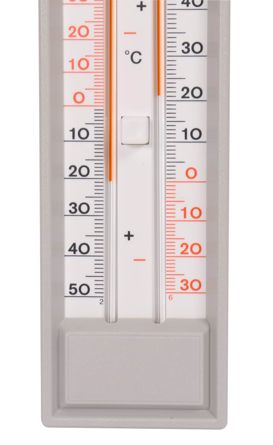 Mini-maxi gris - Jardiland