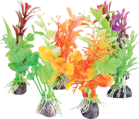 Mini Plante Eco Plastique – ZOLUX - Jardiland