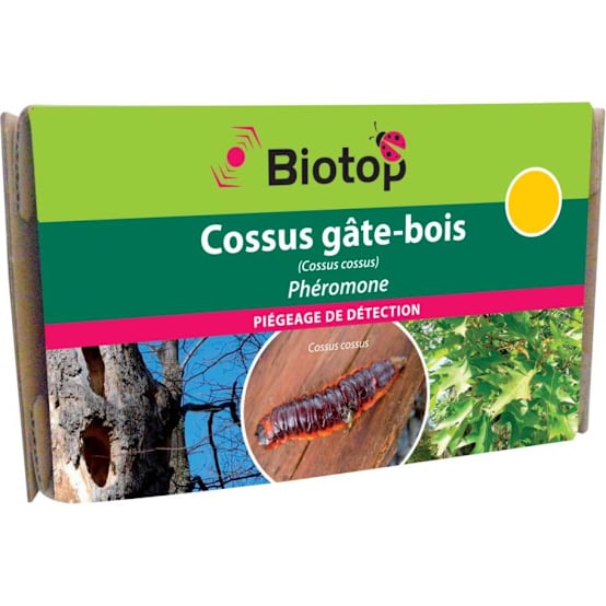 Phéromone Cossus gâte-bois 1 boîte de 2 capsules - BIOTOP - Jardiland