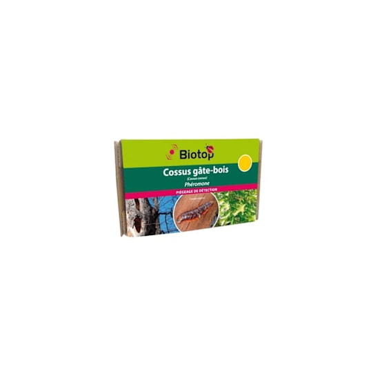 Phéromone Cossus gâte-bois 1 boîte de 2 capsules - BIOTOP - Jardiland