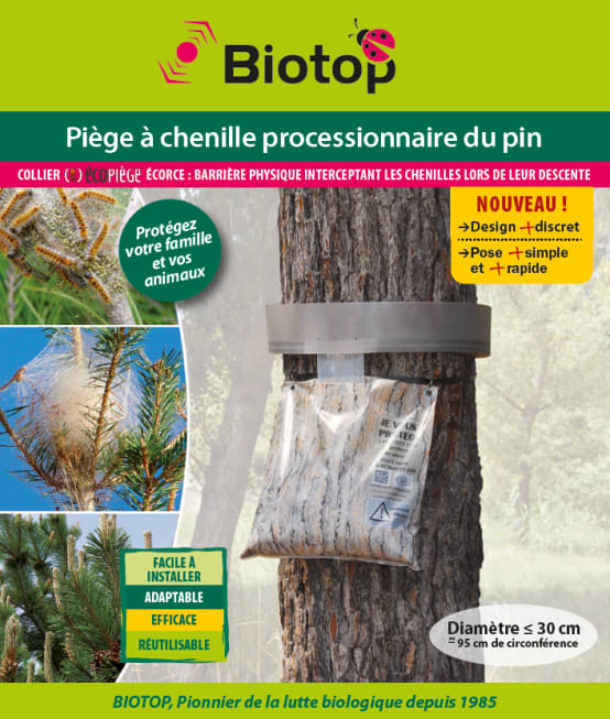 Piège Chenille processionnaire du pin troncs jusqu'à 30 cm de diamètre ...