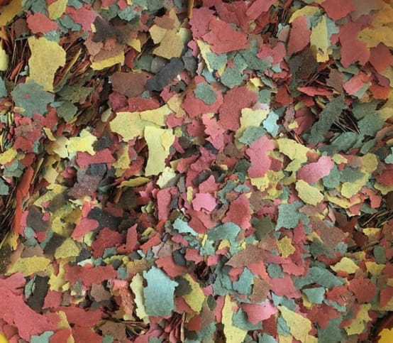 Aliment Complet Flocons Poissons Rouges – AQUAPRIME - Jardiland