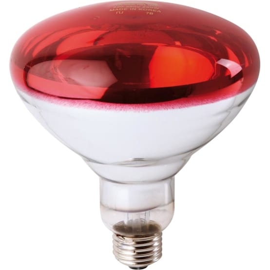 Ampoule infrarouge halogène E27 250W rouge PHILIPS - Jardiland