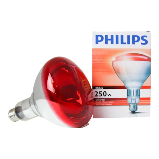Ampoule infrarouge halogène E27 250W rouge PHILIPS - Jardiland