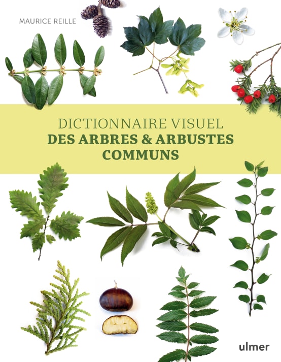 Dictionnaire visuel des arbres et arbustes communs - Reille M. - Jardiland