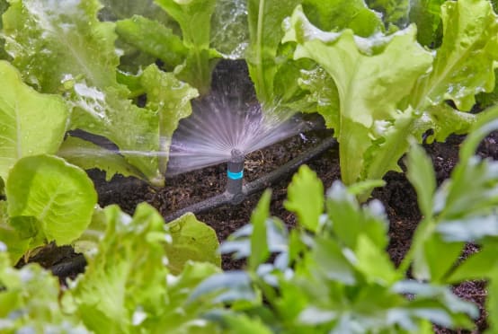 Micro-aspersor 180° micro-drip Caja de 5 piezas GARDENA - Jardiland