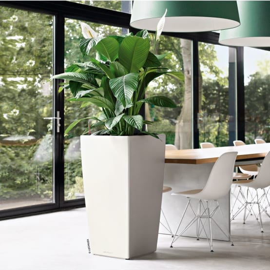 Jardinière Cubico Premium - LECHUZA - Jardiland