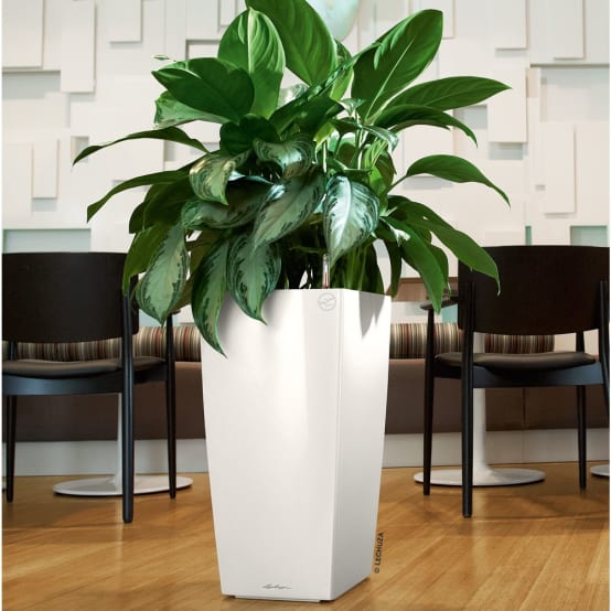 Jardinière Cubico Premium - LECHUZA - Jardiland