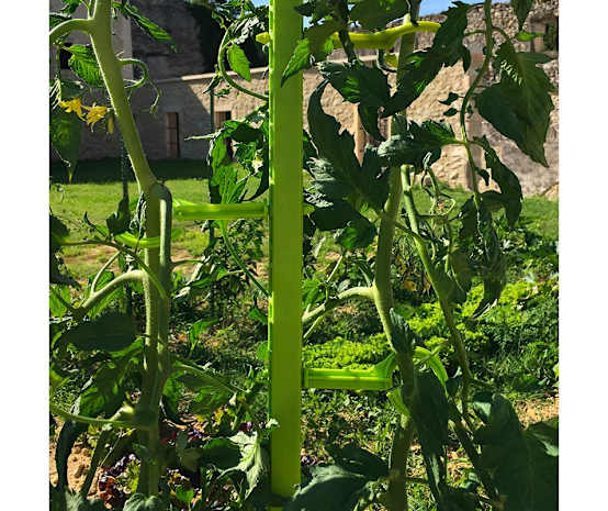 Tuteurs à tomate vert anis – MV INDUSTRIE - Jardiland