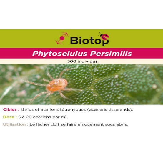 Acarien prédateur Phytoseiulus persimilis boîte de 500 - BIOTOP - Jardiland