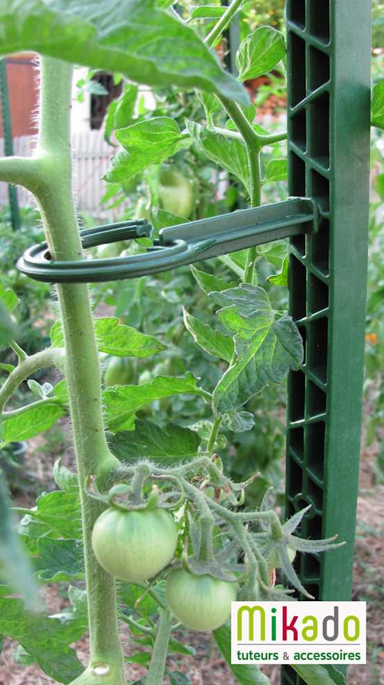 Kit tuteurs à tomate MV INDUSTRIE - Jardiland