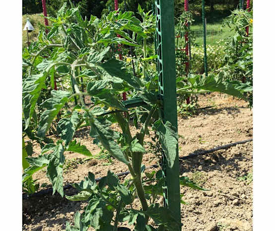 Kit tuteurs à tomate MV INDUSTRIE - Jardiland
