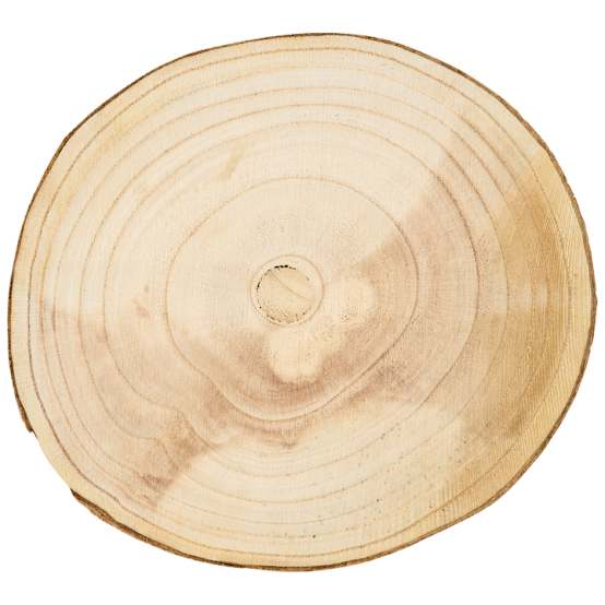 Tronco de madera - ECLOZ - Jardiland