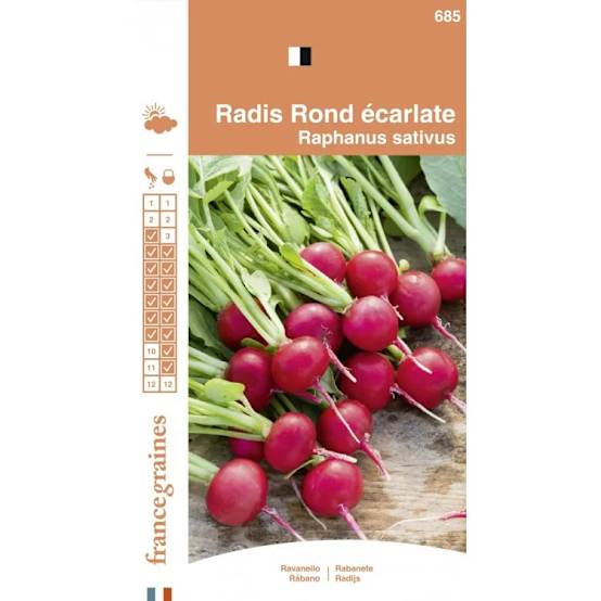 Radis rond écarlate serie 1 sachet graines 8 g - France Graines - Jardiland
