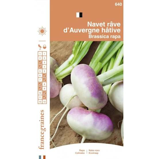 Navet légume rave d'Auvergne hâtif serie 1 sachet graines 5 g - France ...