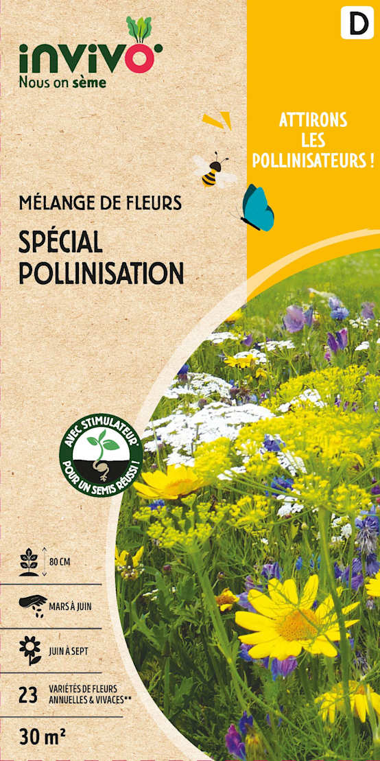Semences mélange de fleurs spécial pollinisation 30 m2 - INVIVO Nous on ...