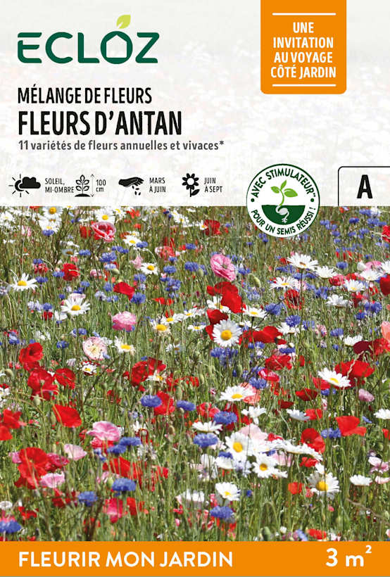 Semences mélange de fleurs d'antan 3 m2 - ECLOZ - Jardiland