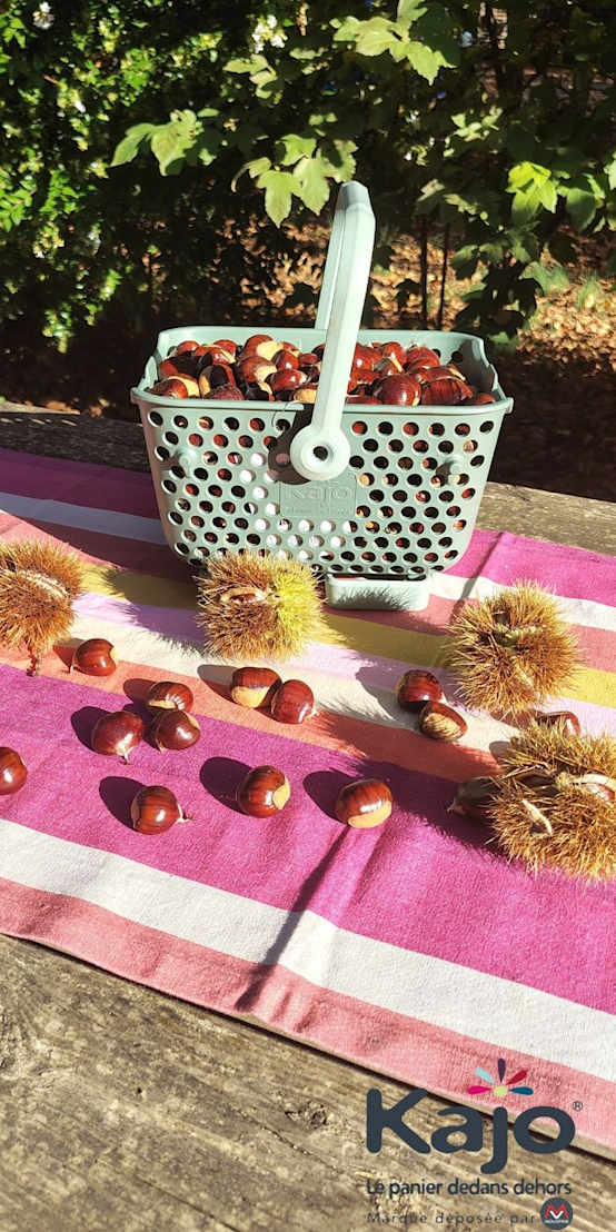 Cesta Kajo 4L Verde Oliva / Verde Almendra - Jardiland