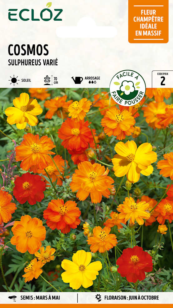 Cosmos sulphureus varié graines sachet 1 g - ECLOZ - Jardiland