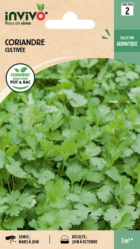 Coriandre cultivée graines sachet 4 g - INVIVO Nous on sème - Jardiland